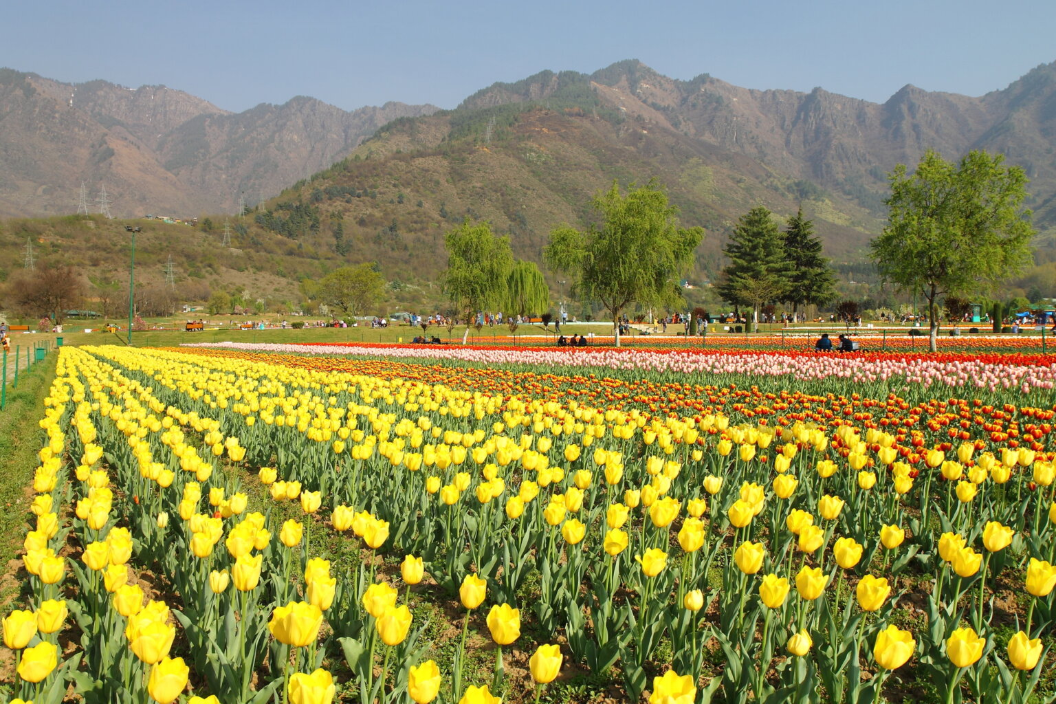 Photo: Piyanai Kaenmee | Dreamstime.com